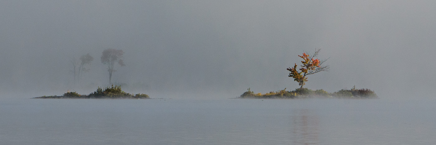 Tri-City Photography Club | Get the picture with Tri-City Photo Club!